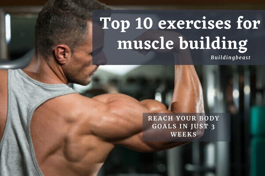 Top ten muscle-building exercises – AJX Sports